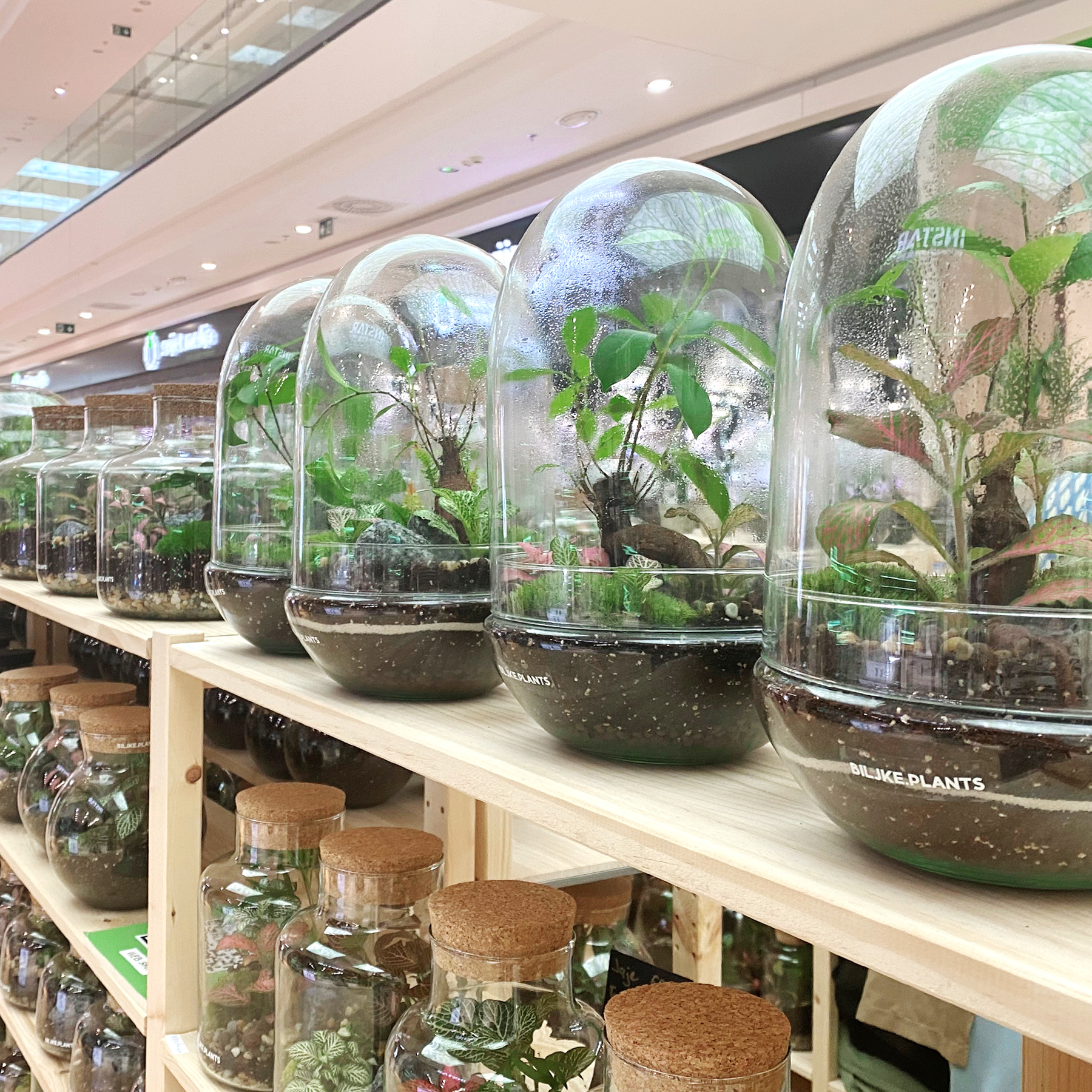 BILJKE PLANTS – Mall of Split